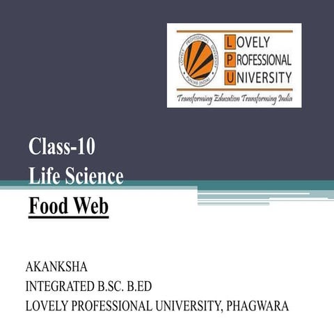 Food Web | PPT
