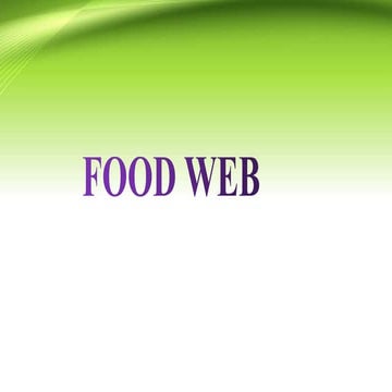 FOOD WEB.pptx
