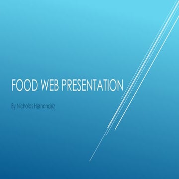 Food web presentation | PPTX
