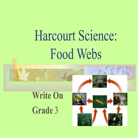 Foodwebs | PPT