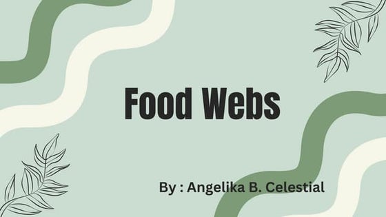 FOOD CHAIN AND FOOD WEB and Different.pptx