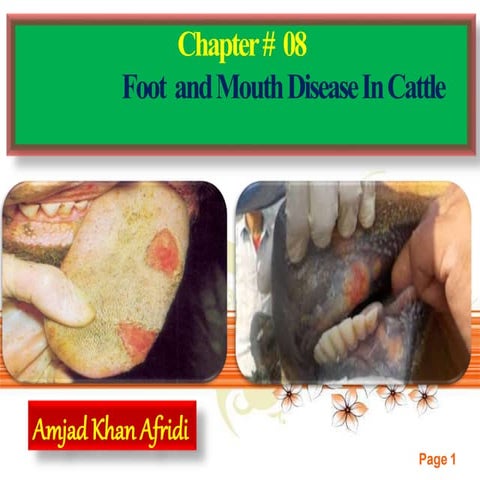 Foot and mouth disease: An Indian perspective | PPTX