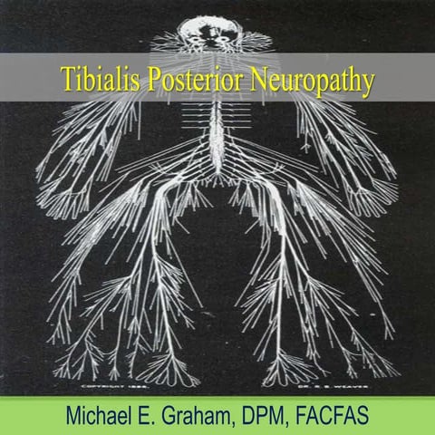 Peripheral Nerve Compression - Neuropathy | PPT