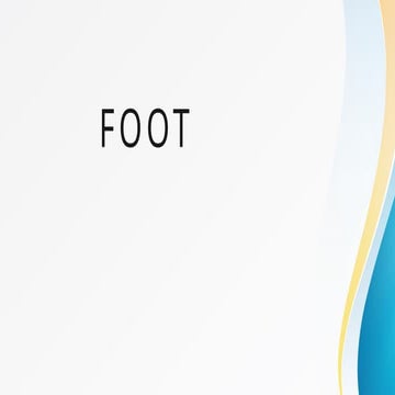 X-RAY views for foot, calcaneum, and ankle joint. | PDF