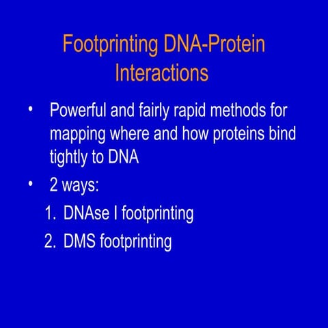 Footprint | PPT