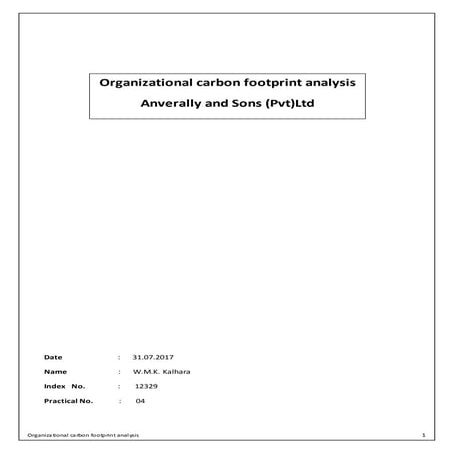 Organizational carbon footprint analysis Anverally and Sons (Pvt)Ltd | DOCX