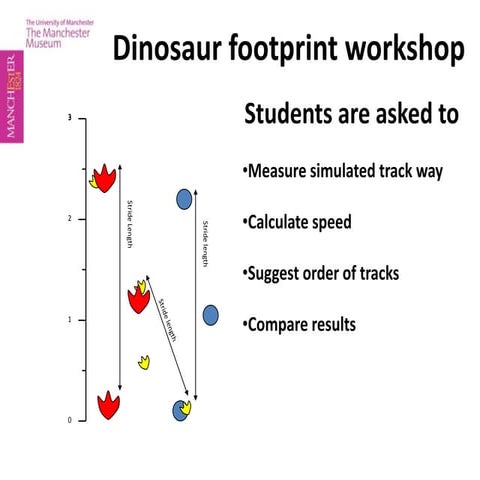 Footprint workshop | PPTX