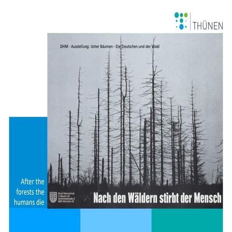 Lecture 4: Monitoring the state of forests and its importance in Europe ...