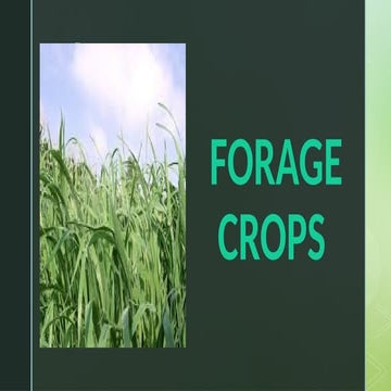 FORAGE vxgnhsdjhtrasujk,jojdesyhgtsrttpptx | PPTX