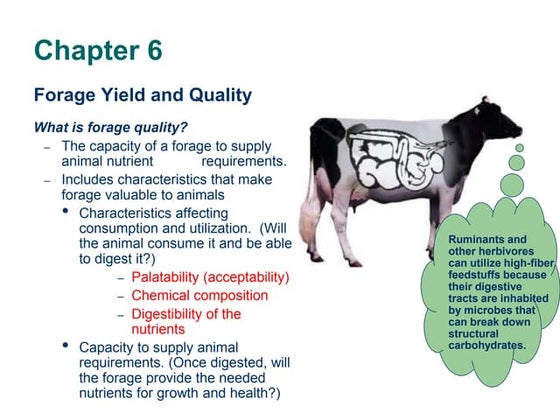 Proximate / Weende System Analysis of Feeds & Fodder | PPT