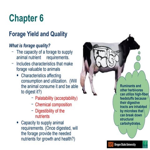 Forage yield and quality for animals ppt.pptx