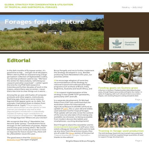 Forages for the Future Newsletter No 4 | PDF
