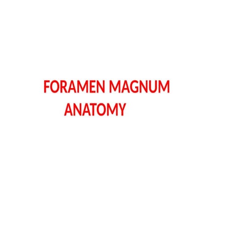 FORAMEN MAGNUM AND ITS SURROUNDING STRUCTURES.pptx
