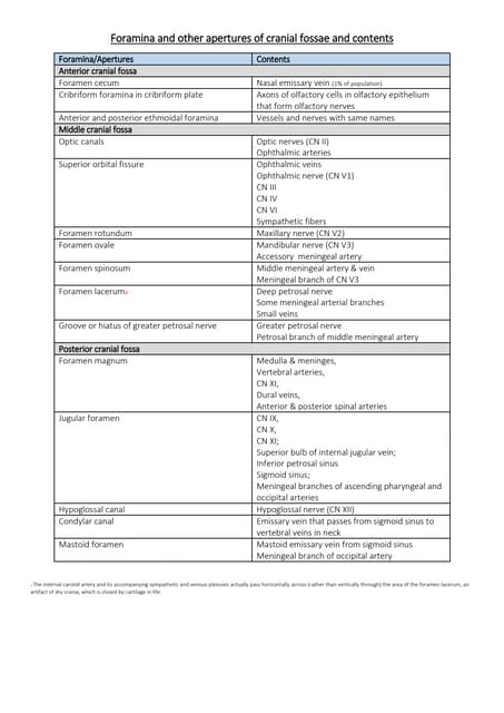 Table 1 Foramina Of Skull | PDF