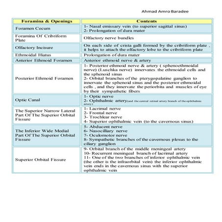 Foramina of the Skull and the Structures that Pass Through | PDF