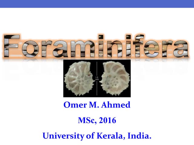 Palaeoecology | PPTX