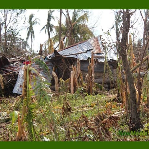 The damaging effects of Yolanda Typhoon from Bogo to San Remigio Cebu | PPT
