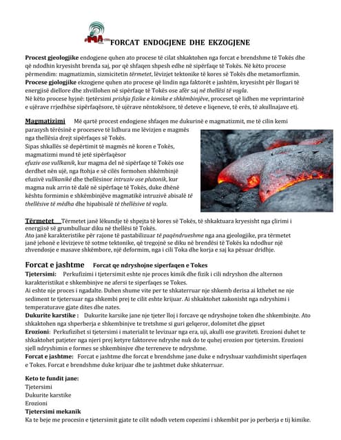 Bota Reale vs Bota Virtuale.pptx