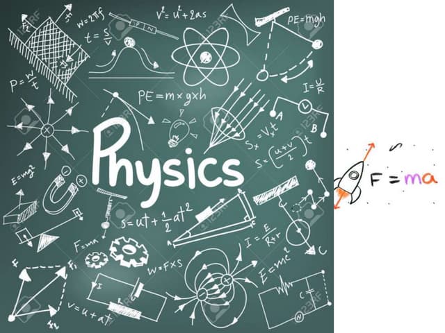 Spore formation In Rhizopus (Fungi) | PPTX