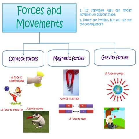 Forces and movements | PPT