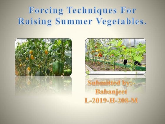 Off season vegetable production | PPT