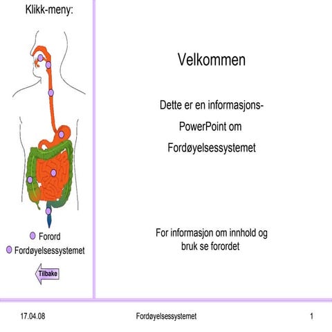 Respirasjonssystemet | PPT
