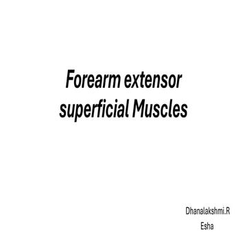 forearm extensor superficialis muscles.pdf