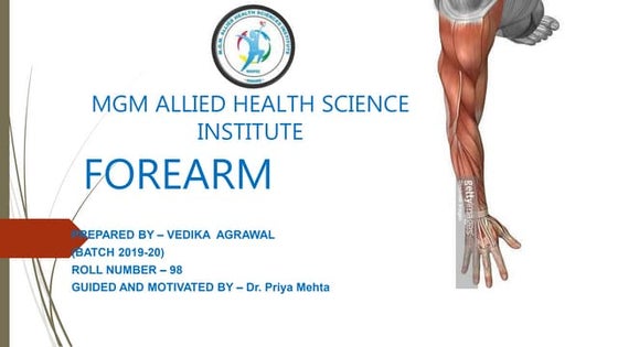 Dermatomes of upper limb- Dr.N.Mugunthan.MS