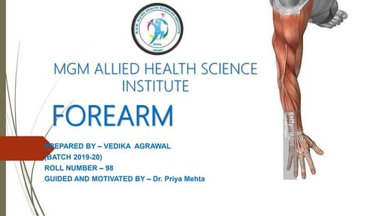 Introduction to upper limb anatomy | PPTX