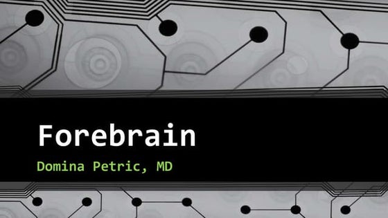 Frontal associational cortex | PPT