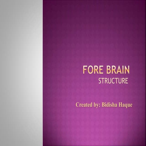 Fore brain | PPTX