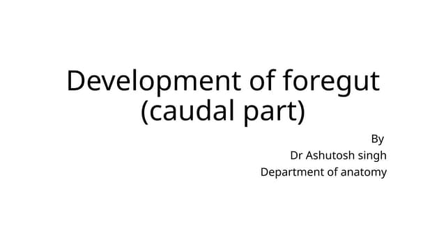 Development of Midgut & Hindgut | PPTX | Digestive Disorders | Diseases ...