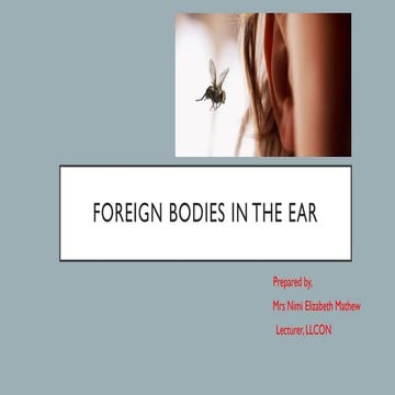 Foreign bodies in the ear | PDF