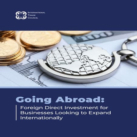 Foreign Direct Investment for Businesses Looking to Expand ...