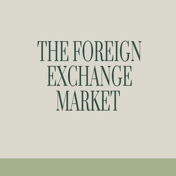 Economics Project Class 12 (Foreign Exchange Markets) | PDF