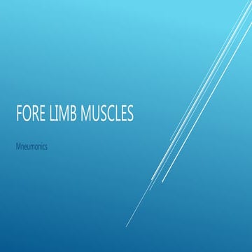 Fore limb muscles .ppt