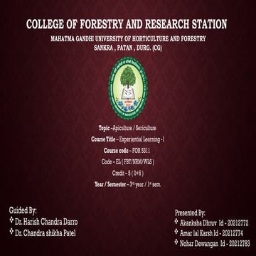 Experiential Learning Programme on Commercial Beekeeping and Apiculture ...