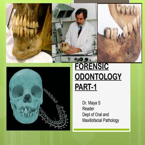 INTRODUCTION TO FORENSIC ODONTOLOGY- PART 1 | PPT | Free Download