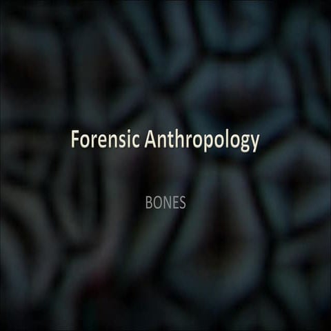 Forensic Anthropology Ppt