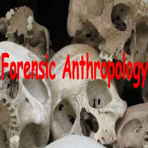 Forensic Anthropology | PPT