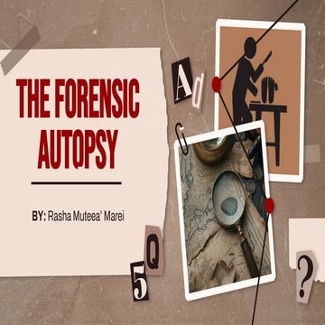 tannerstagescard (1).pdf