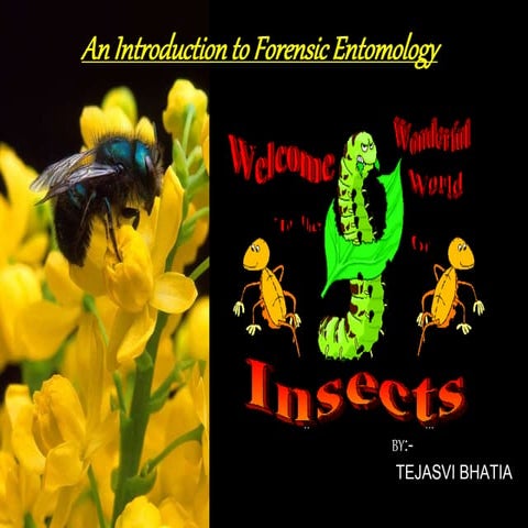 Forensic entomology | PPT