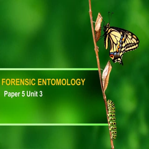 FORENSIC ENTOMOLOGY INFORMATON DETAILED.pptx