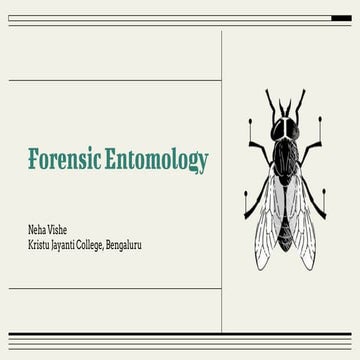 Forensic Entomology: Insects as Evidence | PPT