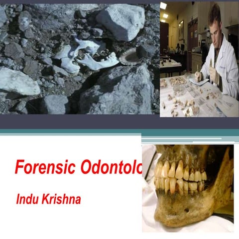 Forensic odontology | PPTX