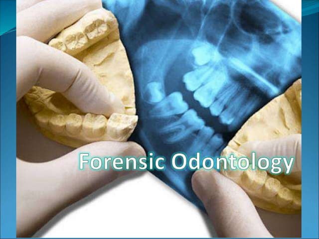 Bite Marks (FORENSIC DENTISTRY) | PPTX