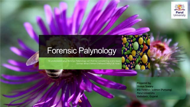 Palaeopalynology; Definition, History, Methods and Benefits of study | PPTX
