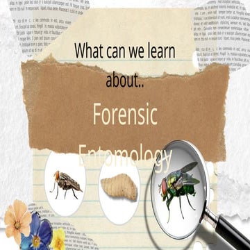 forensic secienntis for syestemmmmm.pptx