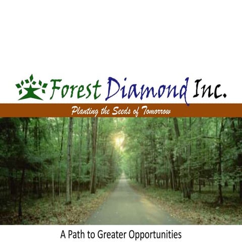 Forest Diamond Inc. | PPTX