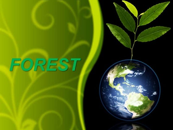 types of forest | PPTX | Geography | Science